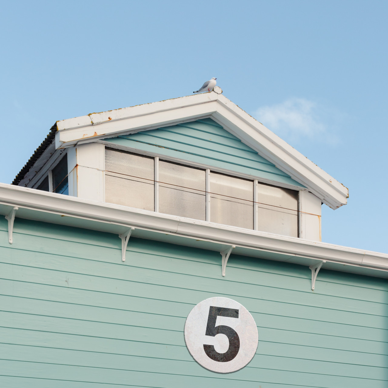 Shed5